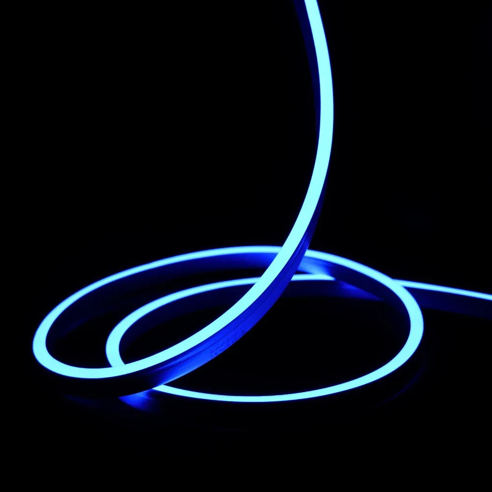 Extra Long Blue Neon Flex 48V 10x20mm IP68 Waterproof 30m – ATOM LED